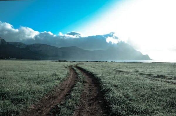 7 Steps to Clear Your Land Safely and Efficiently