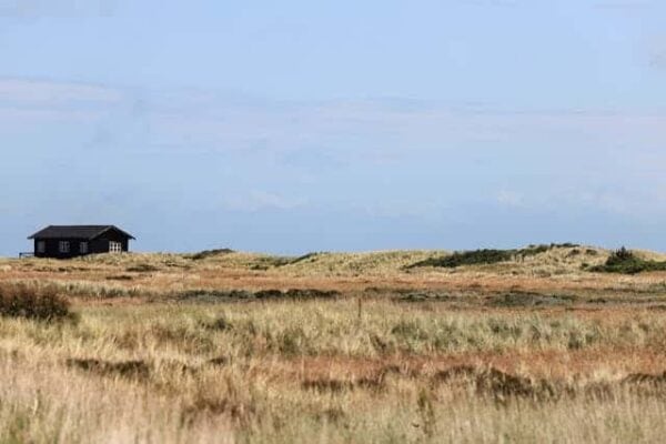 Top 10 Best Places to Buy Off-Grid Land for Under $10K